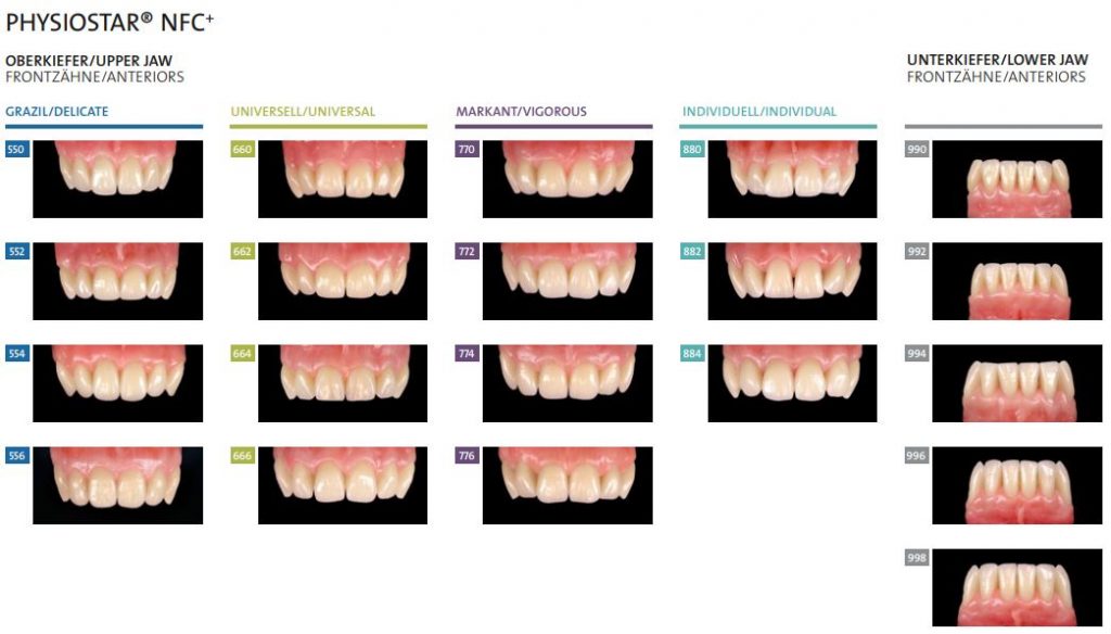 NFC+ PHYSIOSTAR, CONDYLOFORM II, BONARTIC II - SP Dental